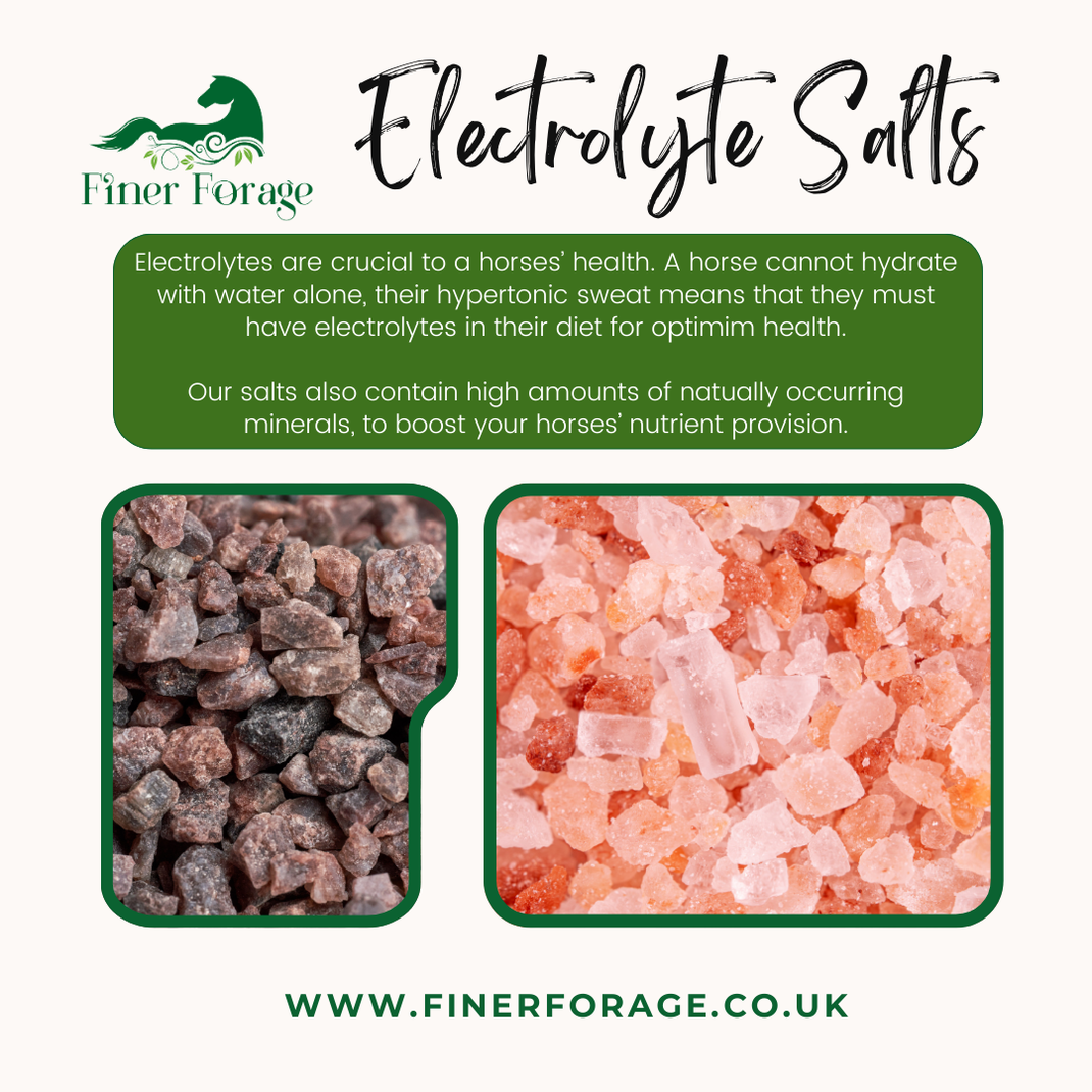 Electrolyte Salts – Finer Forage