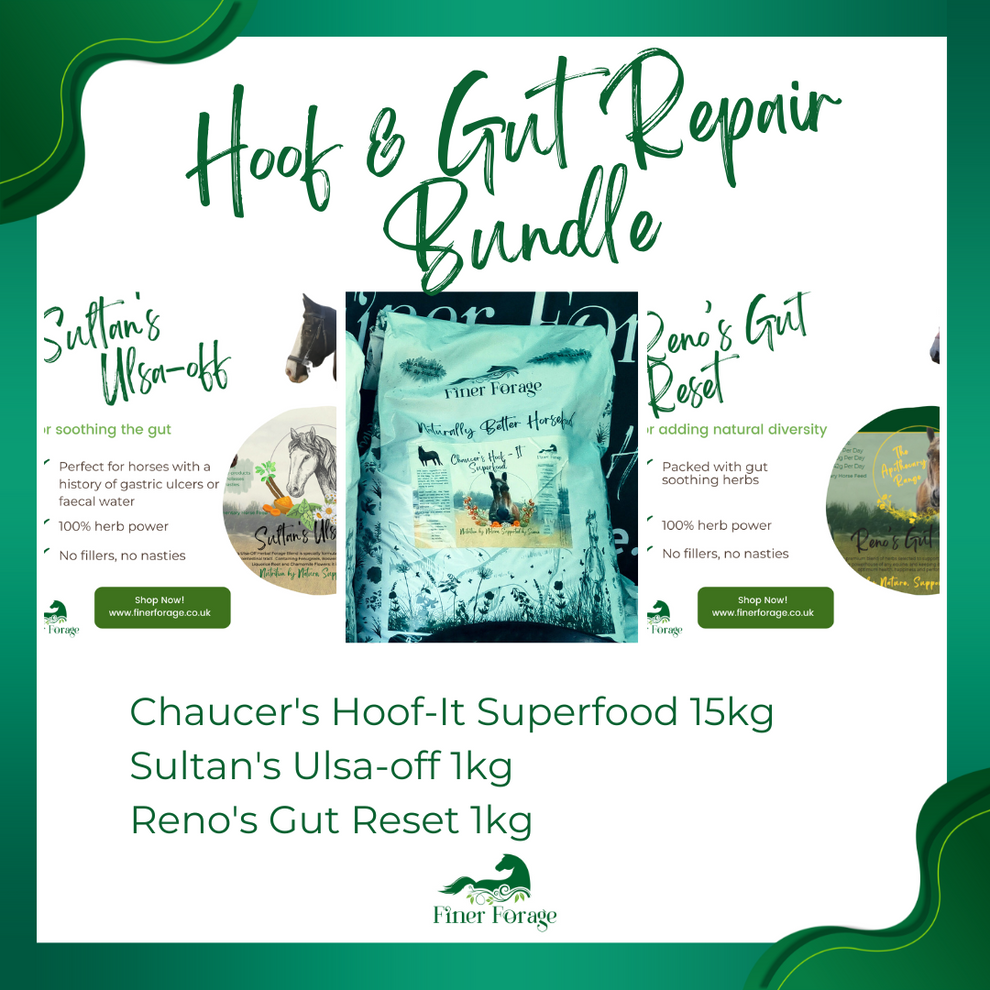Hoof & Gut Repair Bundle – Finer Forage