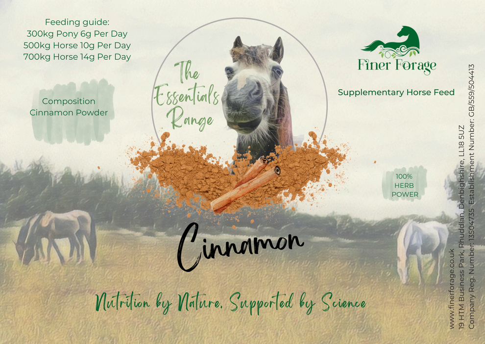 Cinnamon (ground) – Finer Forage